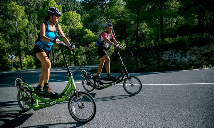 ElliptiGO Elliptical Bikes for low-impact cardio workout, indoors or ...