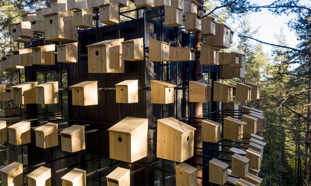 Treehotel Biosphere: A treehouse hotel surrounded by 350 birdhouses