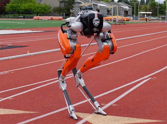 Cassie bipedal robot sets Guinness World Record for 100-meter sprint