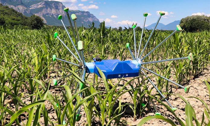 Rolling into the future: SentiV robot revolutionizes crop inspection