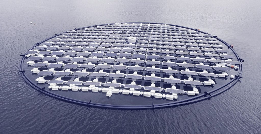 Floating solar panels that track the sun