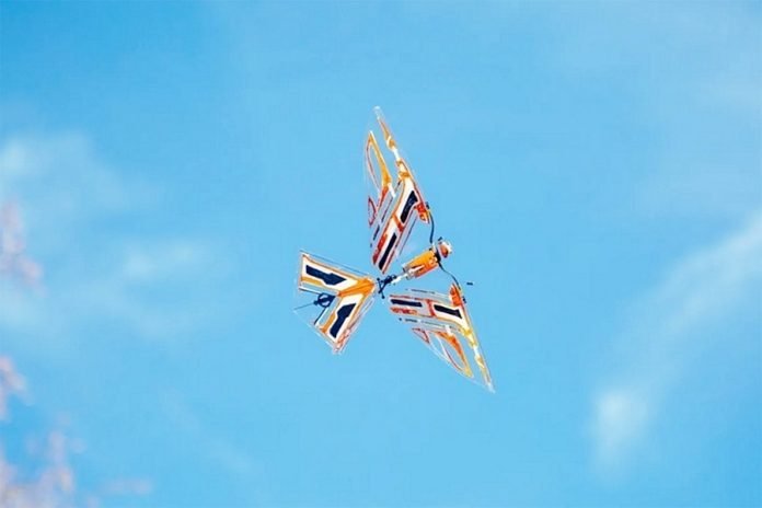 Biomimetic drone blends nature and tech for a mesmerizing flight experience