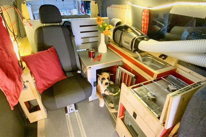 Exploring the VW Dog Camper: A canine-friendly travel solution