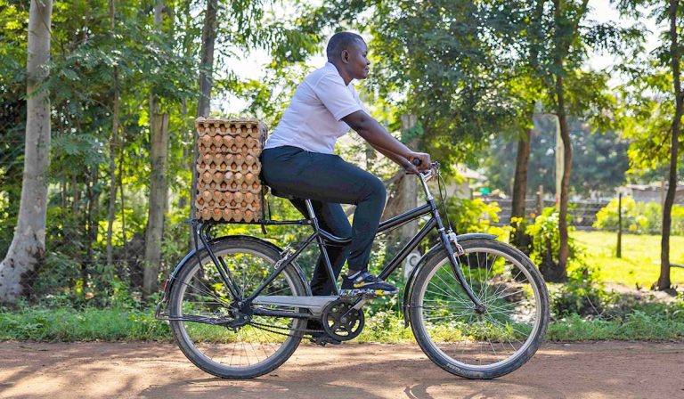 Buffalo S2 Utility is a rugged two-chain bicycle for tough terrain