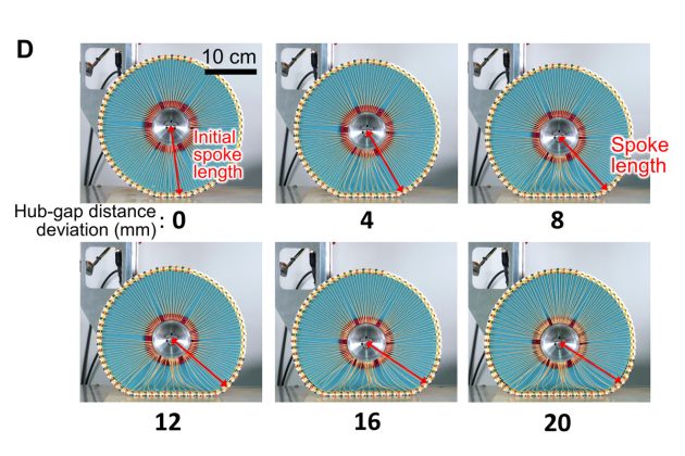 Shape-shifting wheel enhances mobility across rough terrains