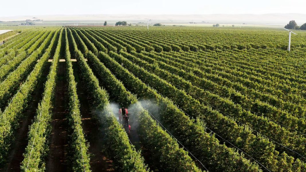 Crop-spraying robot reduces emissions and herbicide use