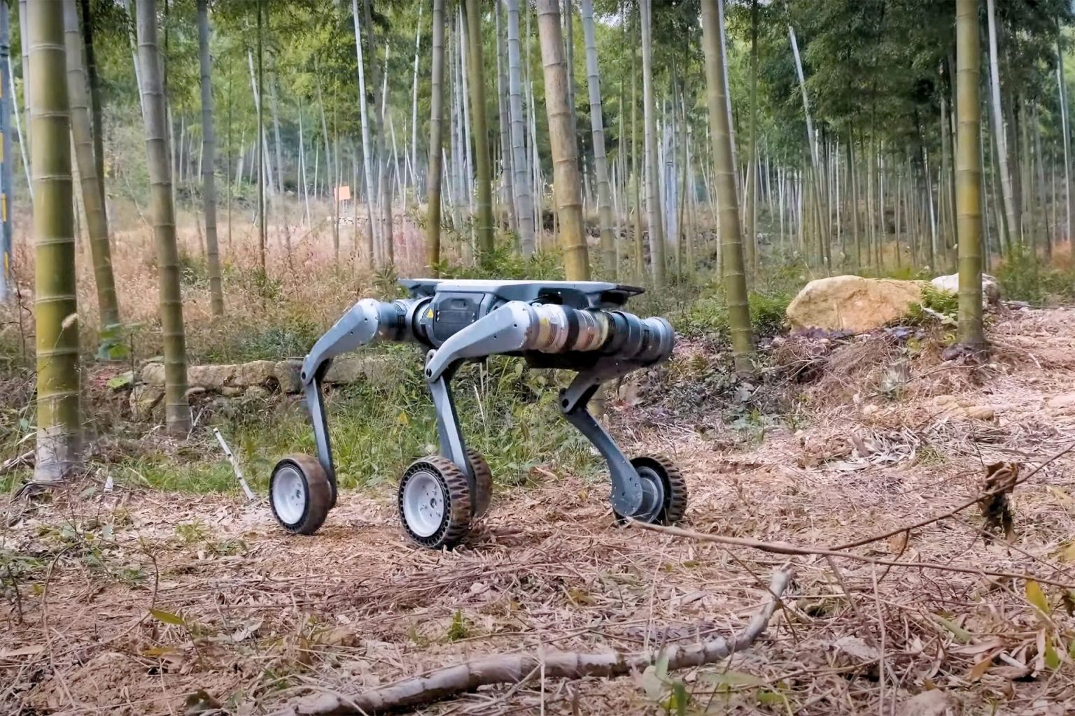 Wheeled robodog tackles extreme terrain at high speed