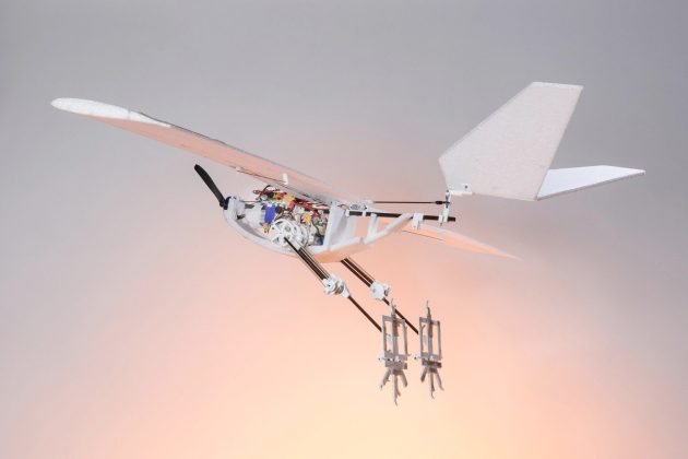 Bio-inspired robot bird-plane combines flight with agile ground mobility