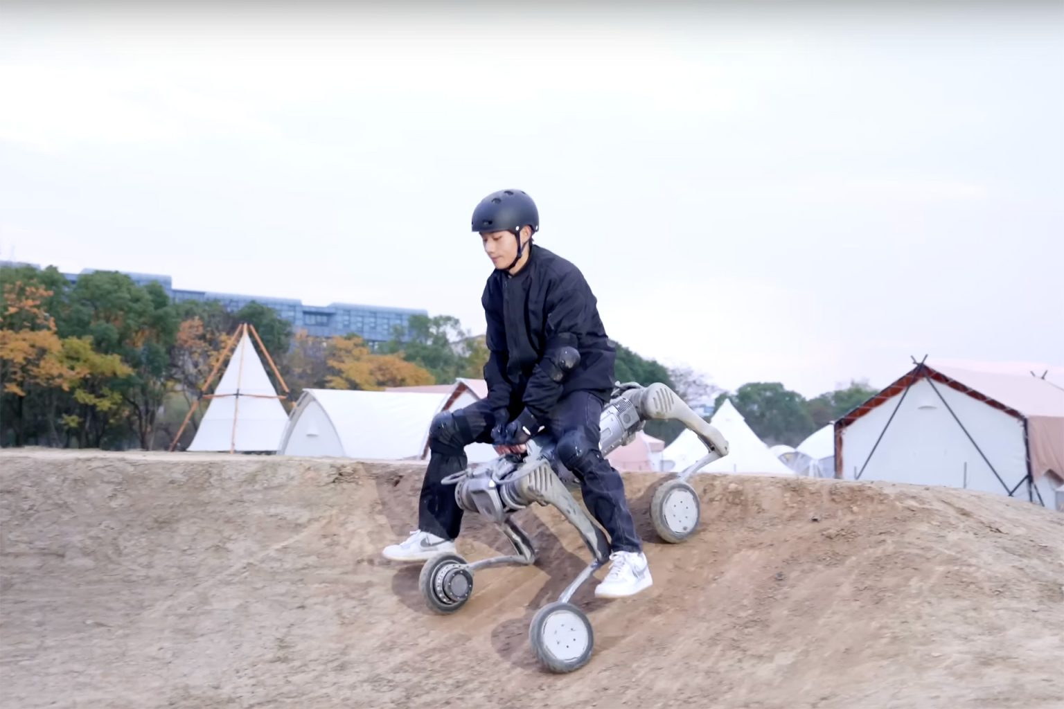 Robot dog stuns with handstand and acrobatic moves