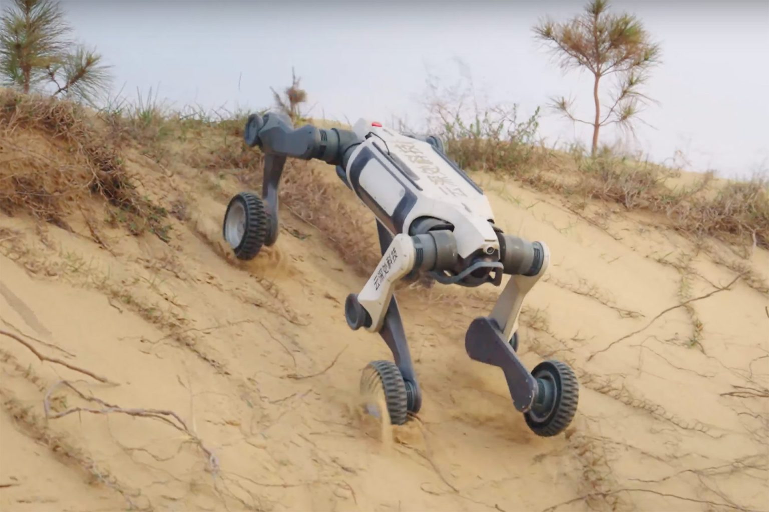 Wheeled robodog Lynx M20 takes on extreme industrial terrain