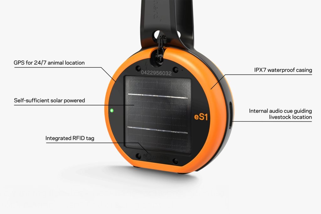 GPS virtual fencing helps farmers manage cattle with less labor and ...