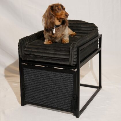 Pet-friendly office chair built for small dogs who love to stay close ...